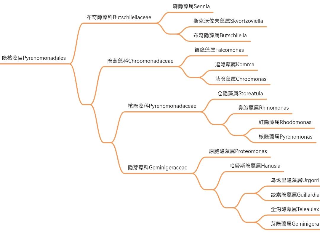 【古菌域全系列14】隐藻界Cryptista：隐于世间而影响世界 - 知乎