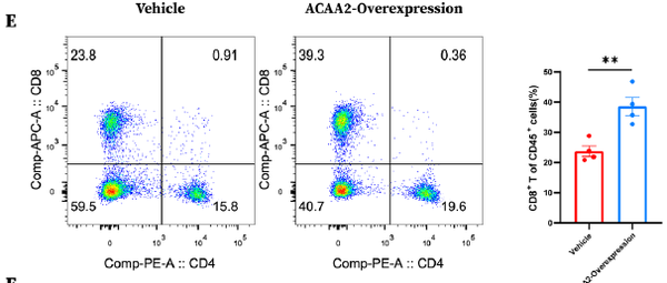肿瘤代谢生信思路再度升级——代谢表型分析+预后模型构建+关键基因功能实验，干湿结合拿下8分+相当给力！ - 知乎