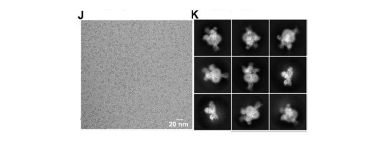 案例分享|结构解析G蛋白偶联受体 (GPCR) - GCGR - 知乎