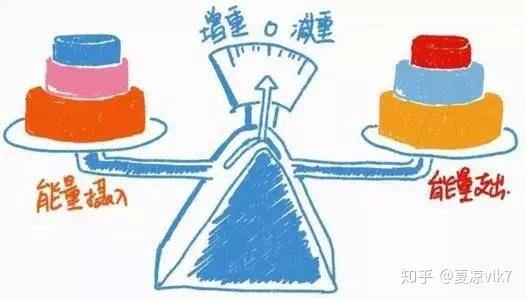 精确热量计算,突破增肌减脂瓶颈期 ——营养师课堂之 如何科学的自我估算每日能量 知乎