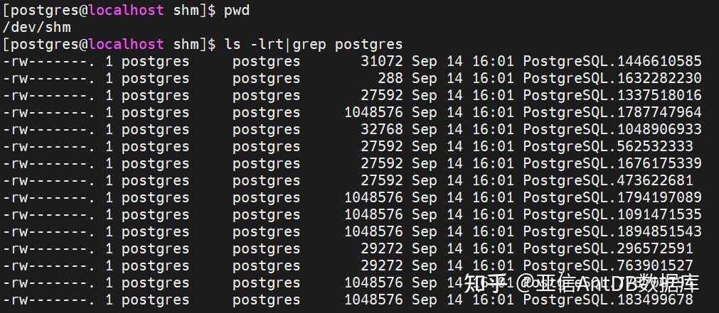 解锁数据库运维秘籍：掌握AntDB-T动态共享内存，提升进程间通信效率 - 知乎