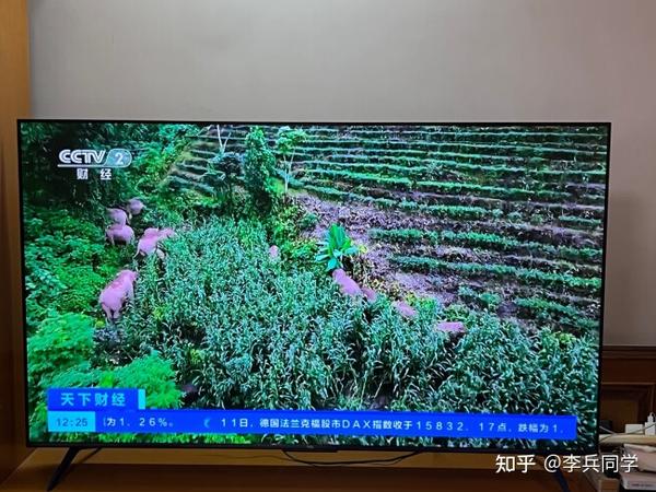 TCL65V8E Pro（tcl65v8epro）怎么样？入手半年优缺点评测