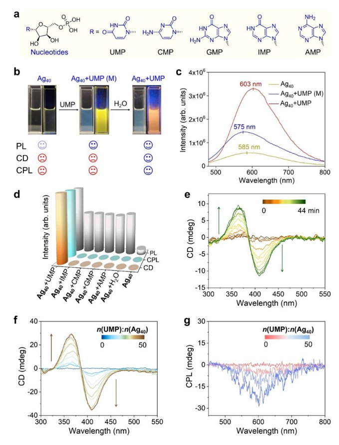 无机化学丨郑州大学臧双全课题组Nature Communications：从构建块到不同超结构调控的Ag40纳米轮多级组装 - 知乎