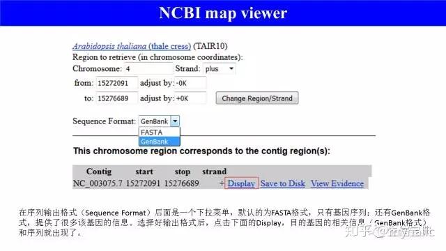 生信软件系列 - NCBI使用 - 知乎