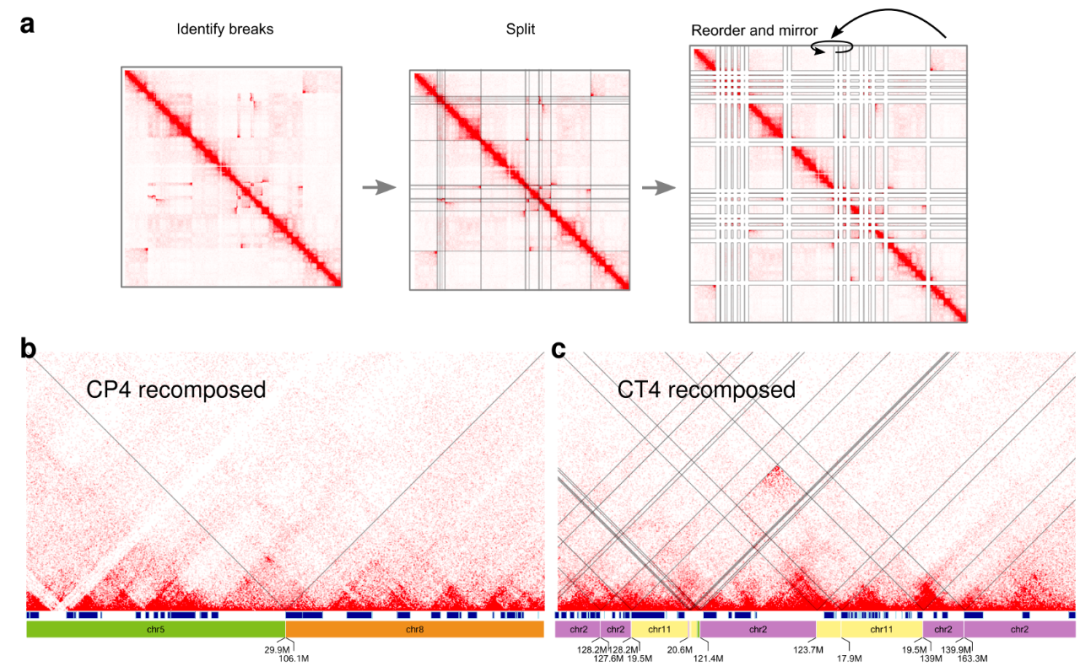 Hi-C：三维表观基因组学揭示DNA-DNA相互作用 - 知乎