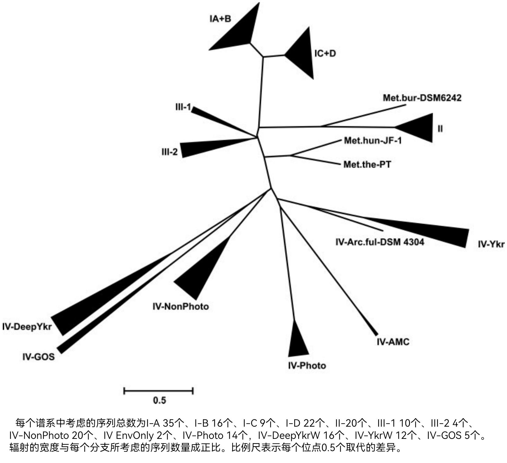 聊聊RuBisCO - 知乎