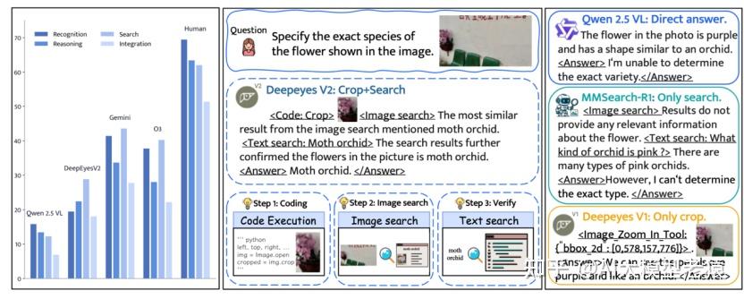 【AI实战】DeepEyesV2大模型：从“看图说话“到“写代码+搜网页+处理图像“的智能进化之路！ - 知乎