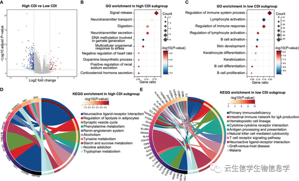 凋亡+自噬+焦亡！三重经典热点联手，预后模型+实验验证的干湿结合模式，搞定8分+生信文章so easy！ - 知乎
