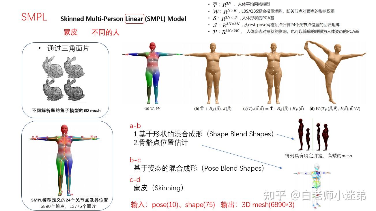 SMPL、SMPL-x模型 - 知乎