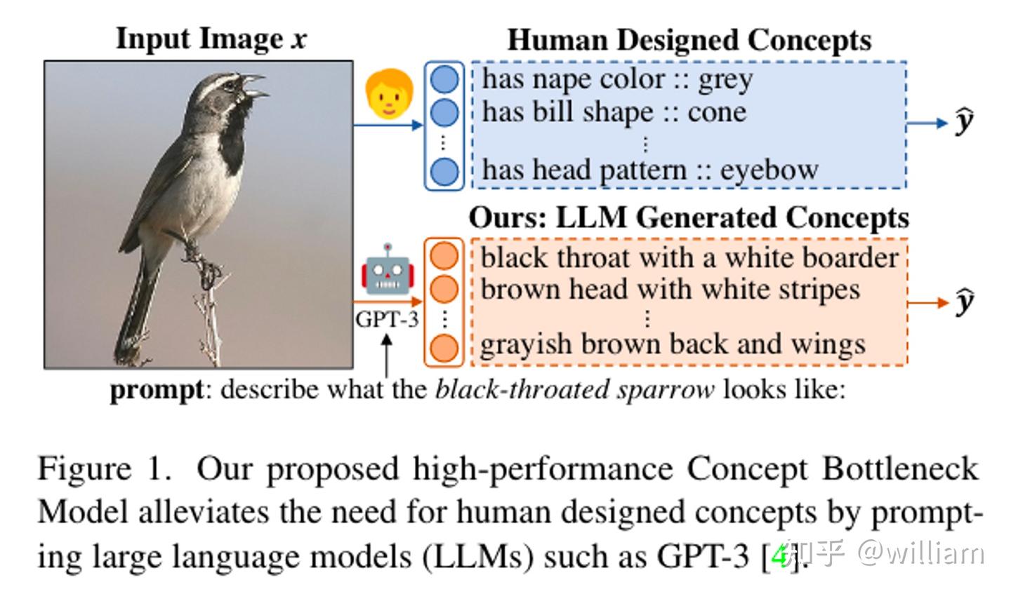 Concept Bottleneck Models - 知乎