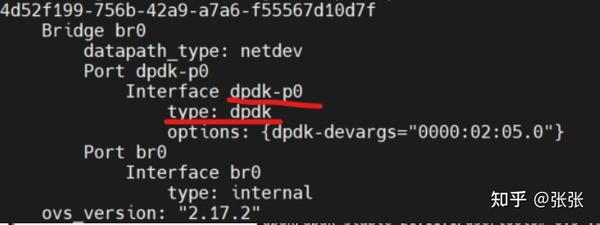Docker容器+DPDK+virtio网卡的使用与测试 - 知乎
