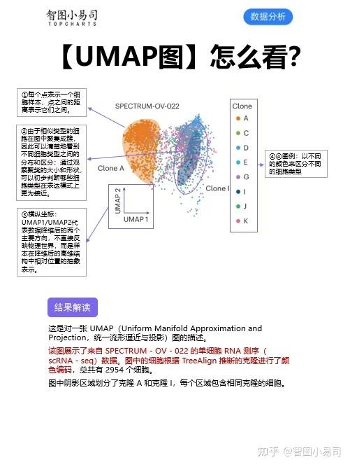 别再懵圈！一文30秒搞懂 UMAP 图，快看📈 - 知乎