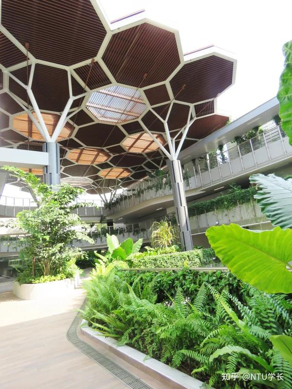NTU究竟有多美 美到随手拍都是大片 - 知乎