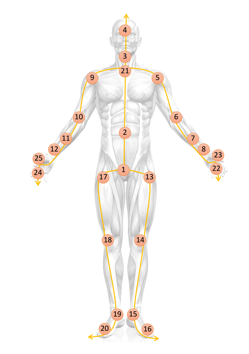 通过自适应的图卷积网络建模骨骼点数据进行行为识别 - 知乎