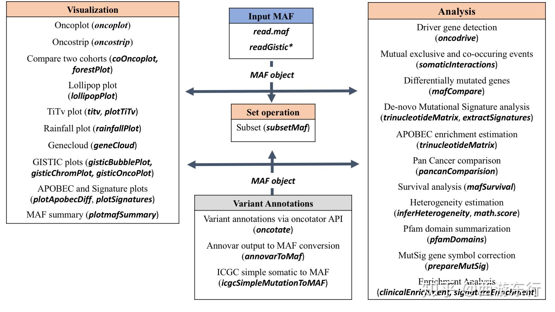 maftools | 从头开始绘制发表级oncoplot（瀑布图） - 知乎