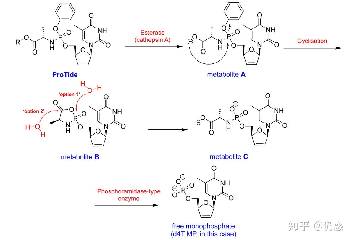 ProTide：前药技术该何去何从？ - 知乎