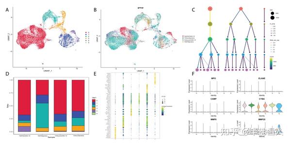 8+非肿瘤生信，WGCNA+机器学习+双疾病+单细胞，花式做生信！ - 知乎