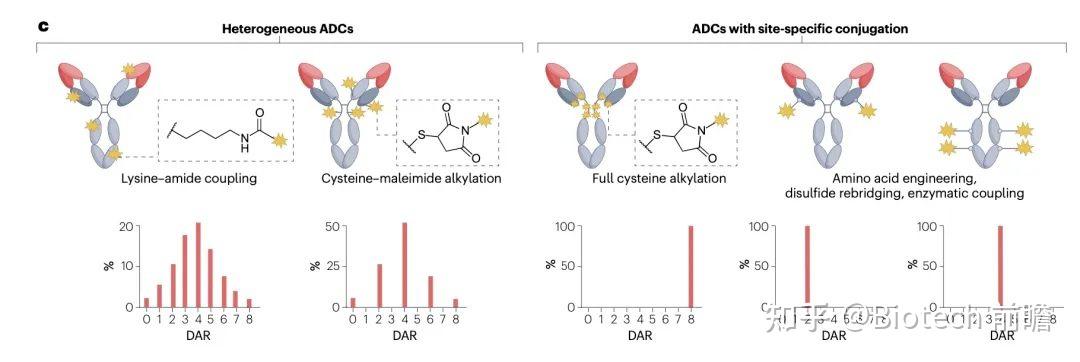 自然子刊丨探索下一代ADC药物 - 知乎