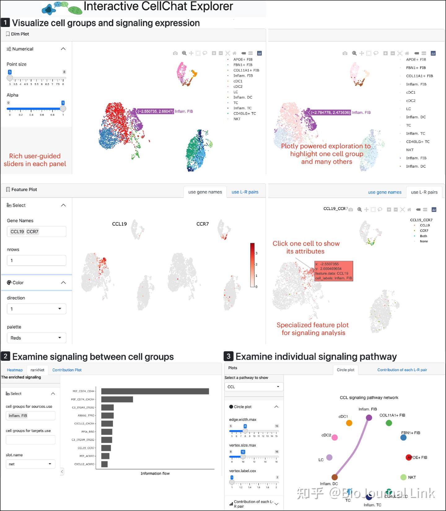 生信程序 | NatureProtocols | CellChat 用于从单细胞转录组学系统分析细胞间的通信 - 知乎