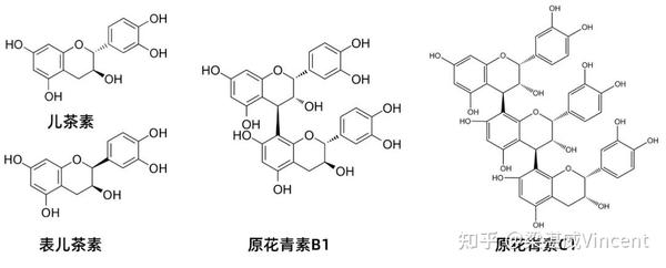 延寿64.2%的原花青素PCC1，最佳来源竟然不是葡萄籽而是这种食物 - 知乎
