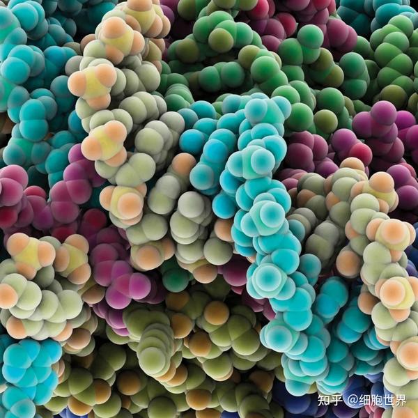 Mol Cell | 通过测序来发现表达组层面蛋白间的相互作用 - 知乎