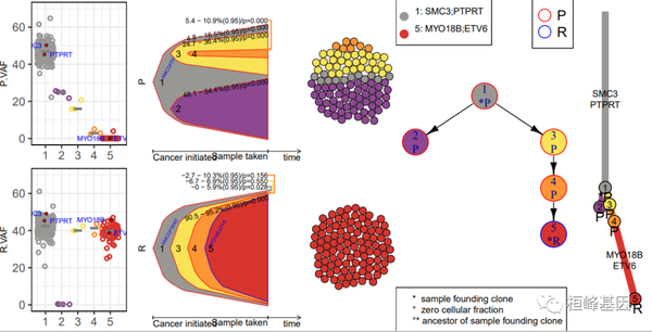Topic2.克隆进化之ClonEvol - 知乎