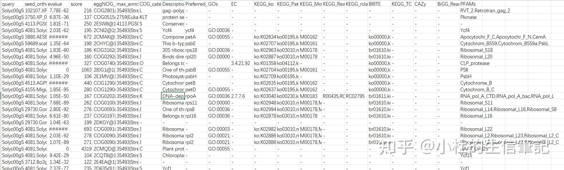 模式植物构建orgDb数据库 | 以org.Slycompersicum.eg.db为例 - 知乎