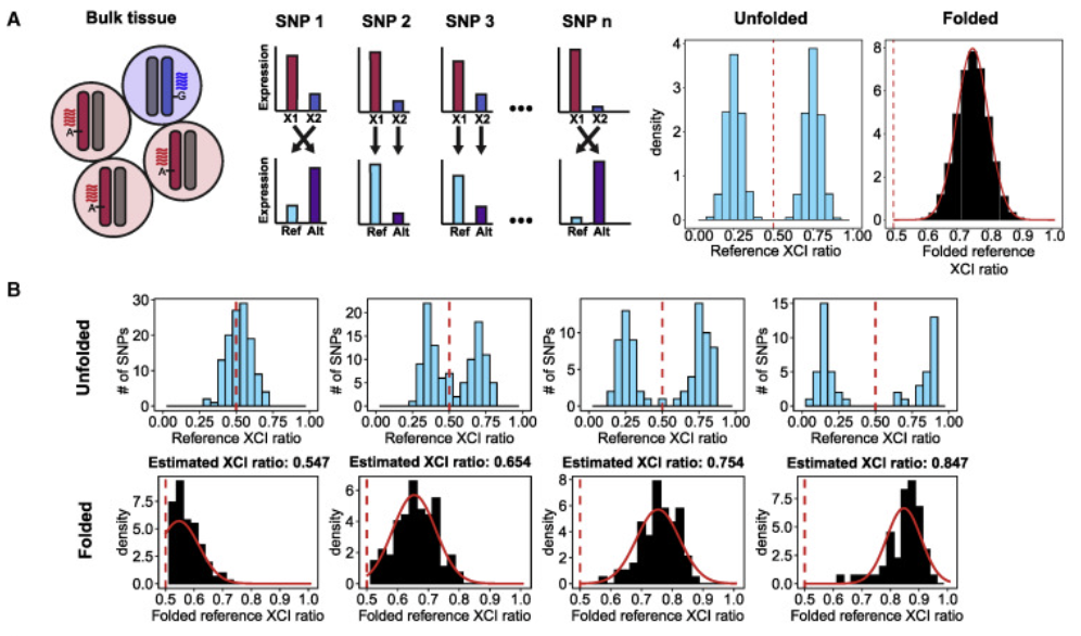 X染色体失活和胚胎发育 - 知乎