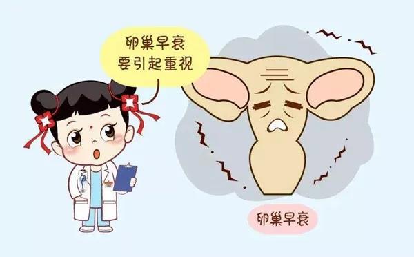 卵巢功能减退早衰如何应对？ 知乎