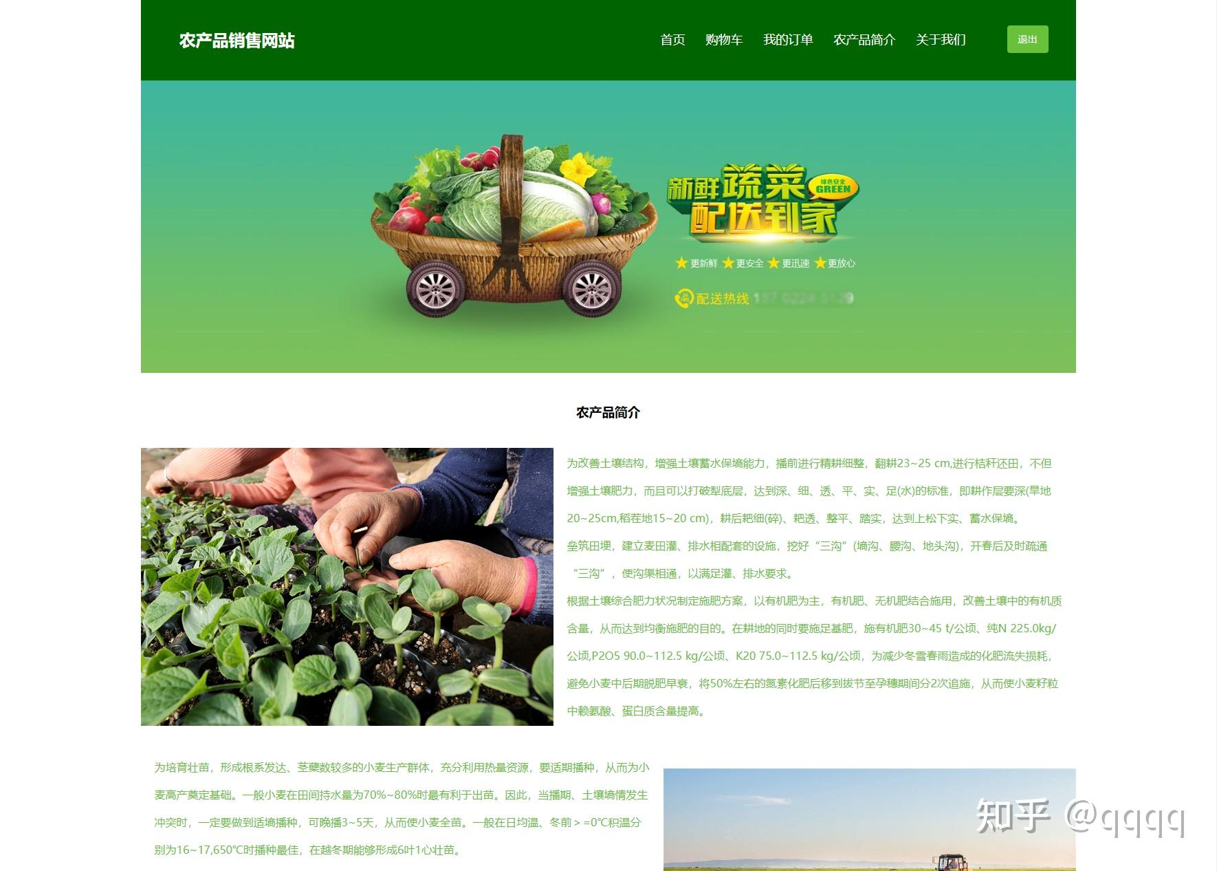 Vue3做的网站，vue页面，vue网页，vue项目 知乎