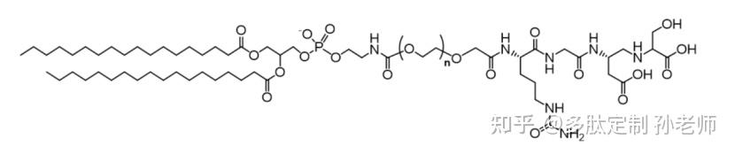 DSPE-PEG-RGD：生物领域的多功能复合——物特性、应用、临床转化以及前景展望 - 知乎