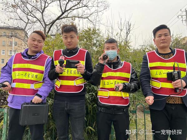 寻猫记(六)——猫咪主人因喝酒大意,猫咪意外出逃却身处险境成都找猫公司成都寻宠团队苏州寻猫公司 知乎