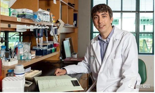 Nature ｜ 治疗诱导的APOBEC3A驱动耐药癌细胞进化 - 知乎