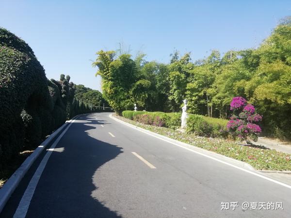 有一条路,每个人非走不可,那就是年轻时候的弯路 知乎