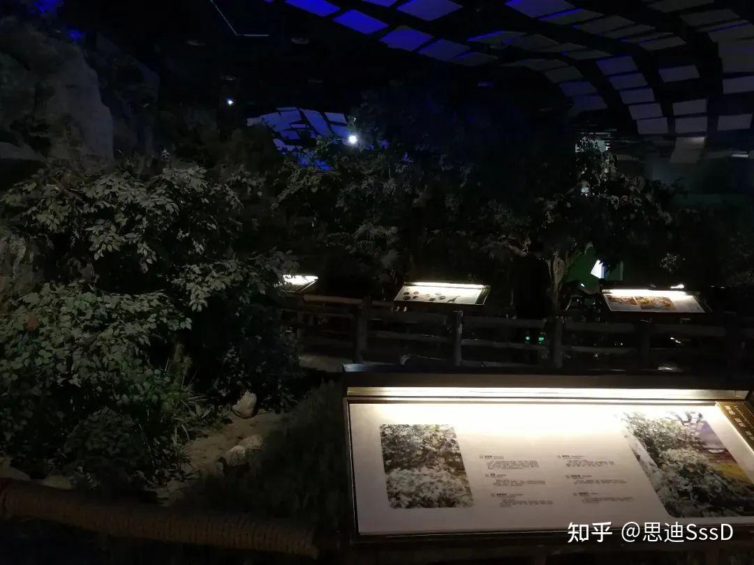 博物馆Vol.146 | 广东省博物馆 - 知乎