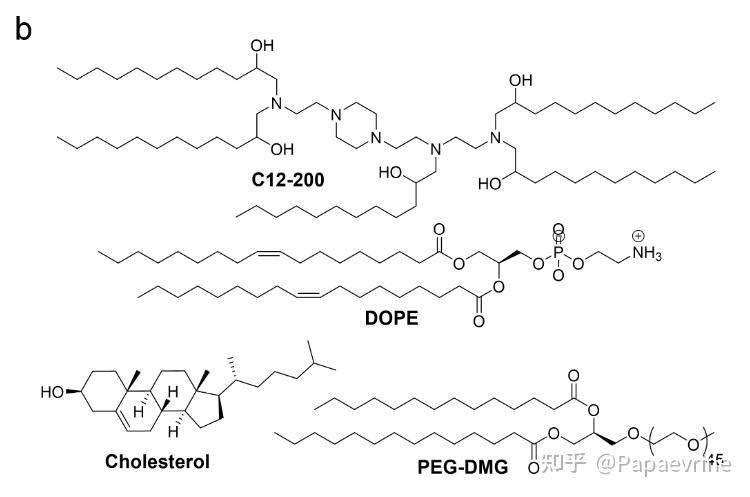 选择性器官靶向（SORT）纳米粒子用于组织特异性mRNA递送和CRISPR/Cas基因编辑（2021.09.07） - 知乎