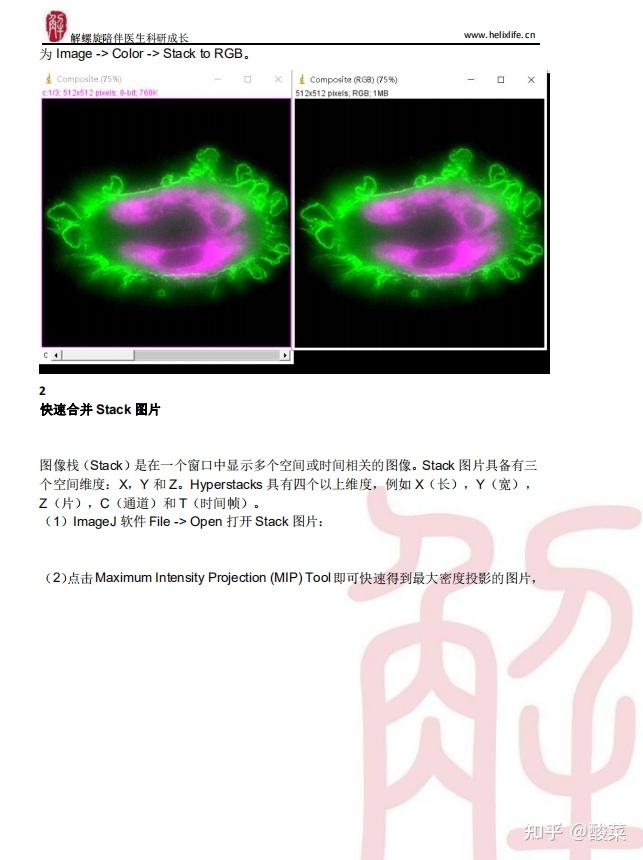 ImageJ如何做出高颜值SCI配图？看完直接冲上5分+！（附实用插件） - 知乎