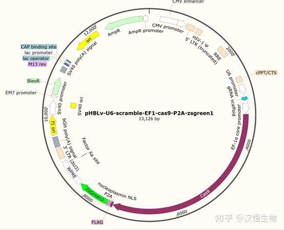 【干货】教你如何选择最合适的载体 - 知乎