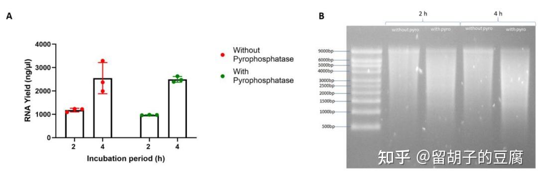 DoE优化IVT反应体系，提升saRNA产量。 - 知乎