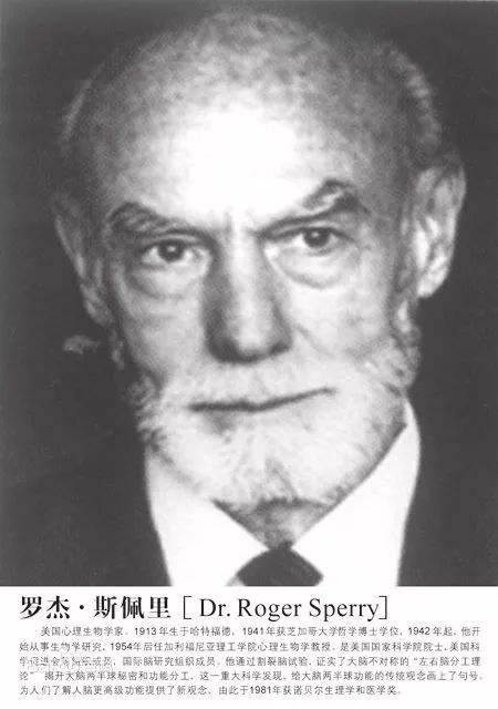 右脑记忆法：所有世界记忆大师都必须掌握的“核武器”。 - 知乎