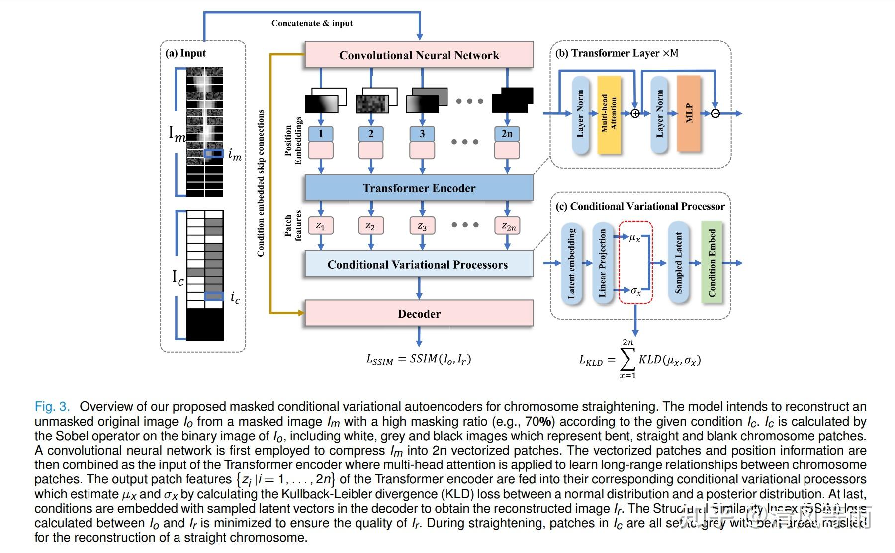 IEEE Transactions on Medical Imaging(TMI)论文推荐：2024年01月(1) - 知乎
