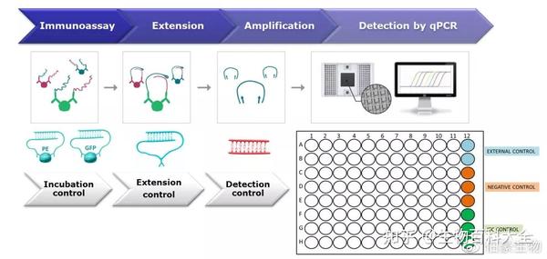 技术服务|Olink超灵敏低丰度蛋白组助力精准医学（一） - 知乎
