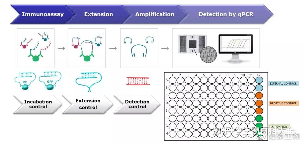 技术服务|Olink超灵敏低丰度蛋白组助力精准医学（一） - 知乎