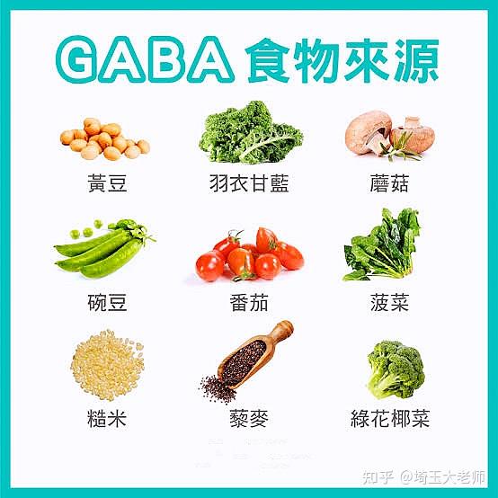 关于GABA的介绍 - 知乎