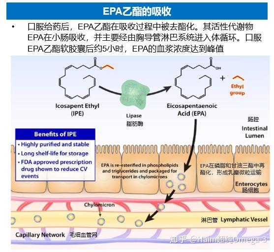“顶流”调脂药物EPA乙酯的进阶之路 - 知乎