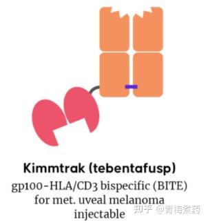药物发现|2022年FDA 批准的药物 - 知乎
