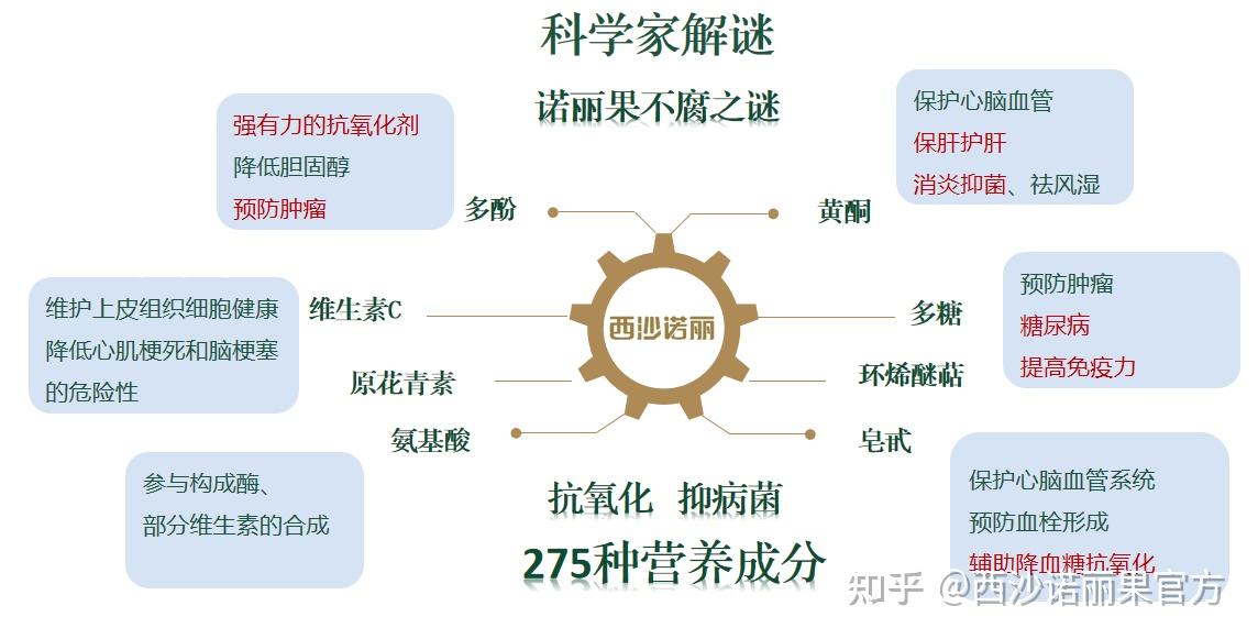 诺丽果是什么？西沙诺丽果，健康有机的神奇水果 - 知乎