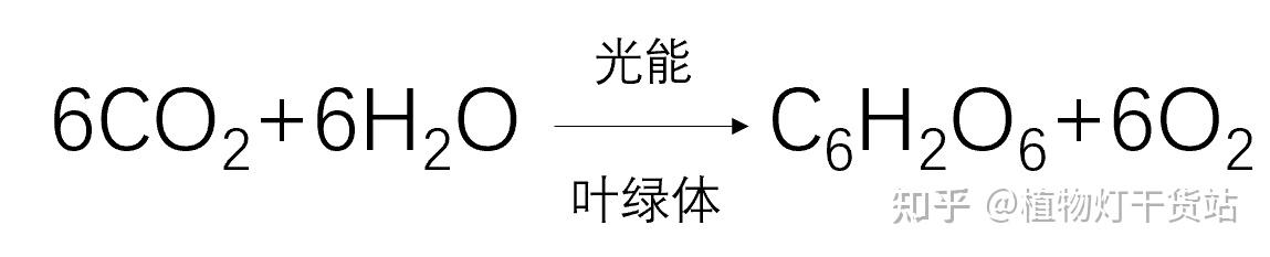 植物灯基础参数二：PPF - 知乎