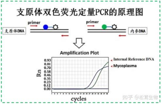 支原体检测（QPCR法） - 知乎