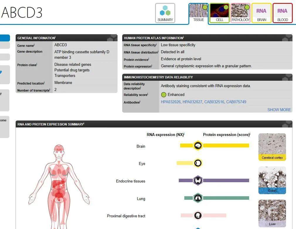 肿瘤相关数据库介绍 - 知乎